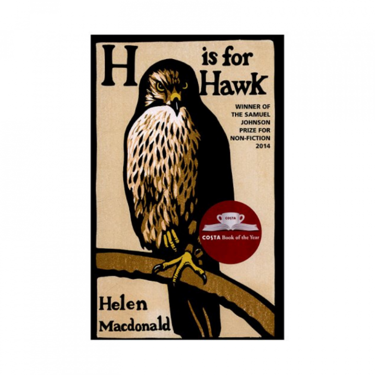 H is for Hawk - Pūkorokoro Shorebird Centre Bookshop