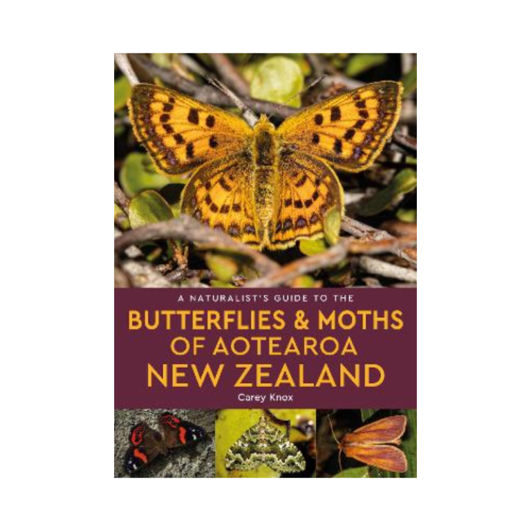 A Naturalist’s Guide to the Butterflies and Moths of New Zealand ...
