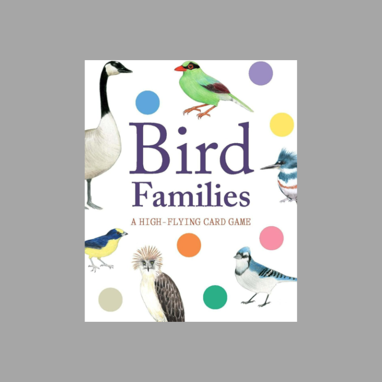 Bird Families Card Game - Pūkorokoro Shorebird Centre Bookshop