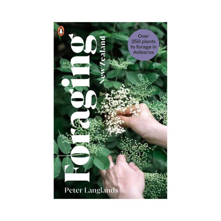 Foraging New Zealand - Pūkorokoro Shorebird Centre Bookshop