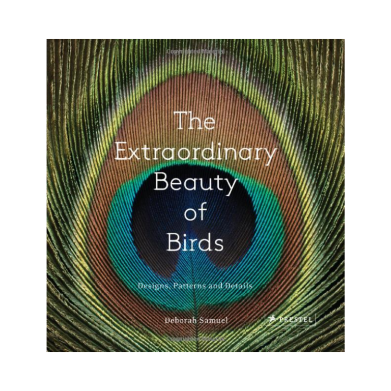 The Extraordinary Beauty of Birds - Pūkorokoro Shorebird Centre Bookshop
