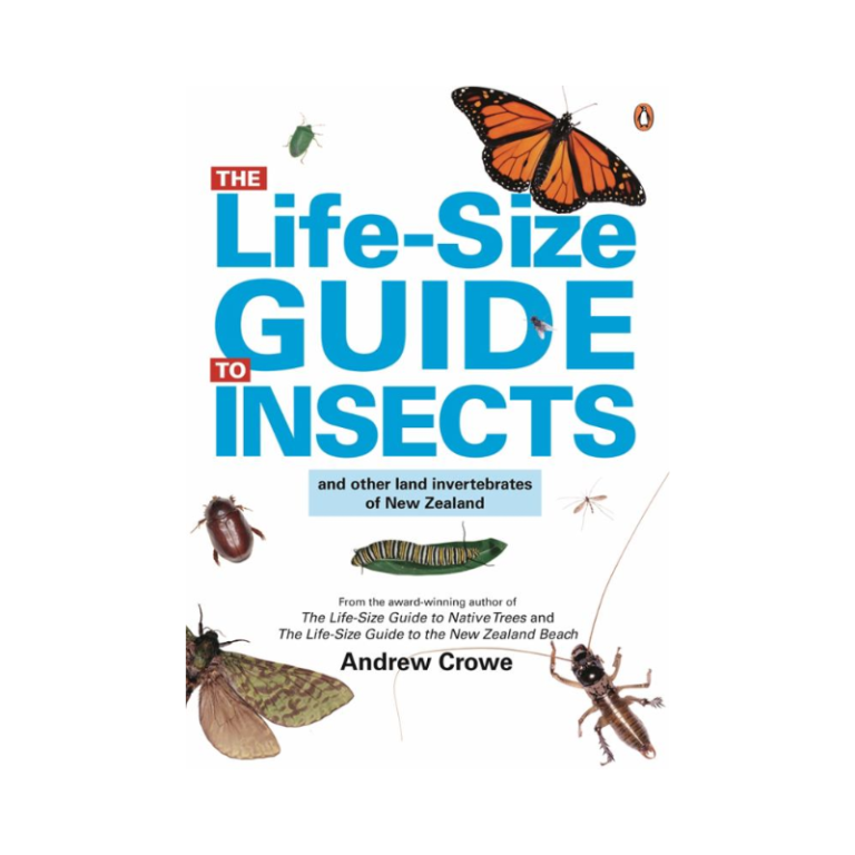 The Life Size Guide to Insects - Pūkorokoro Shorebird Centre Bookshop