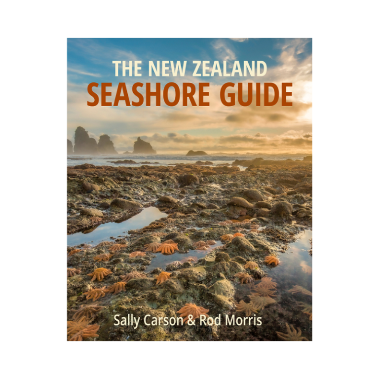 The New Zealand Seashore Guide - Pūkorokoro Shorebird Centre Bookshop